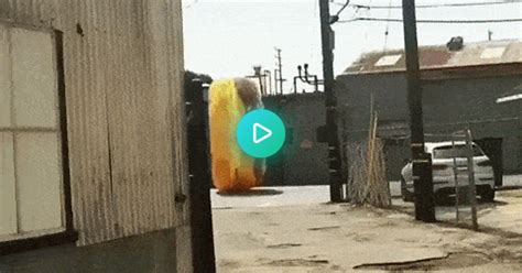 Do Not Roll Or Donuts Roll Album On Imgur