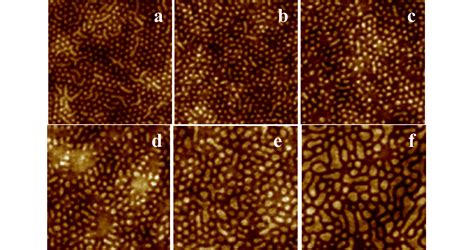 Report Oil Water Separations From Zone Annealed Block Copolymer Films 59th Annual Report On
