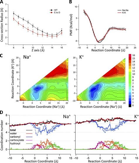 Predicted Consequences Of A Charge Conserving Selectivity Filter