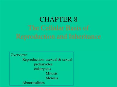 PPT CHAPTER The Cellular Basis Of Reproduction And Inheritance PowerPoint Presentation ID