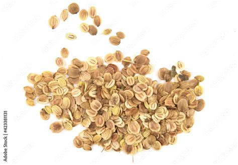 Parsnip Seeds Isolated On White Background Pile Dry Vegetable Seeds