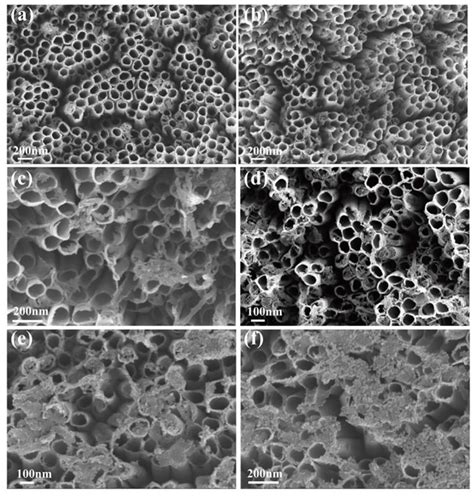 SEM Top View Images Of TiO NTbs And NiOTiO NTbs On Ti Foil Surface Download Scientific