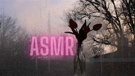 50 Most Popular Asmr Visuals