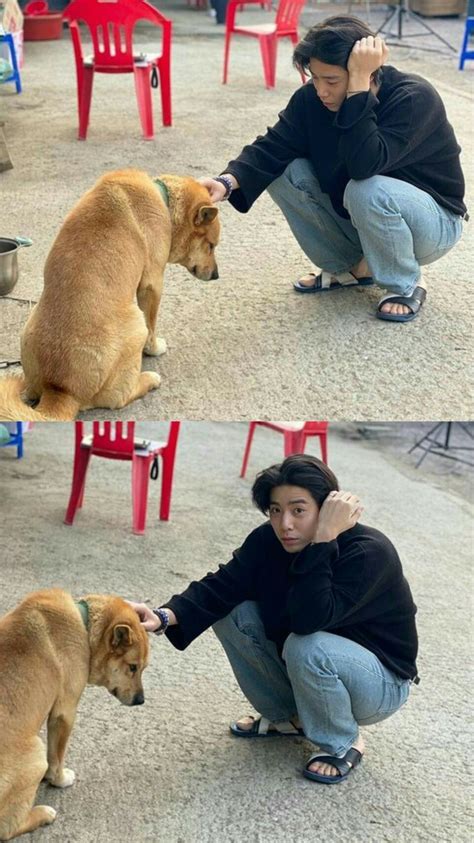 Anjing Dengan Manusia