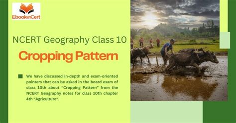 Ncert Geography Class 10 Cropping Pattern E Book Ncert