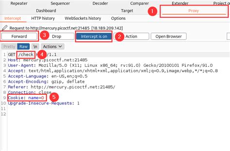 PicoCTF Cookies Writeup Walkthrough My Journey Through Cyber Security