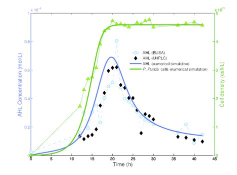 Experimental Data And Numerical Solution Of The Mathematical Model 4 Download Scientific