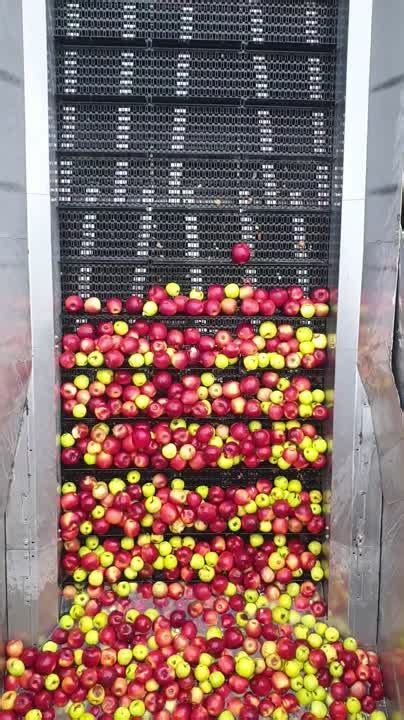 Groupe Capl On Linkedin Lusine Le Panier Provençal Retrouve Des Couleurs Du Côté De Tarascon