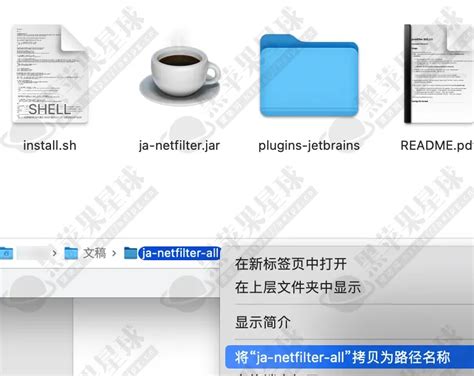Jetbrains 2023 系列开发者工具 Macos 版全家桶激活方法 黑苹果星球