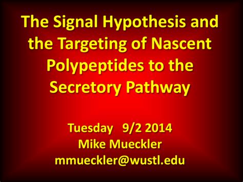 Signal Hypothesis Bio 5068