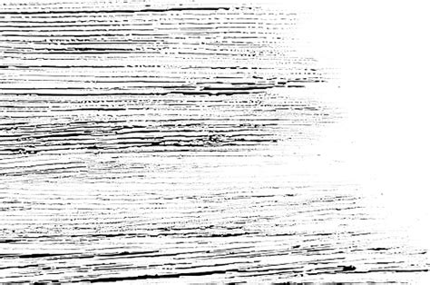 흰색 배경에 검은 마스카라 브러시 스트로크 속눈썹 화장을위한 화장품 제품 잉크 브러시 스트로크 여성 스러운 화장품 얼룩 고립 된 그림 메이크업 속성 미용사 액세서리 개념에