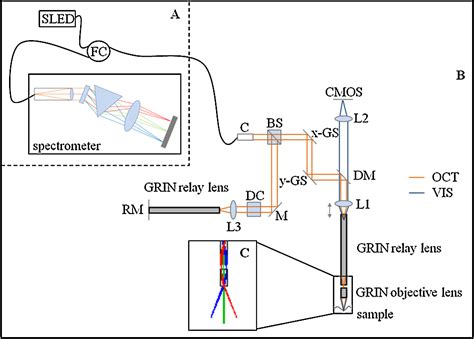 Endoscopic Optical Coherence Tomography Device For Forward Imaging With Broad Field Of View