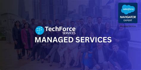 Cost Techforceservices Managedservices Salesforcesupport Costefficiency Businesssolutions