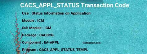 Cacsapplstatus Sap Tcode For Status Information On Application