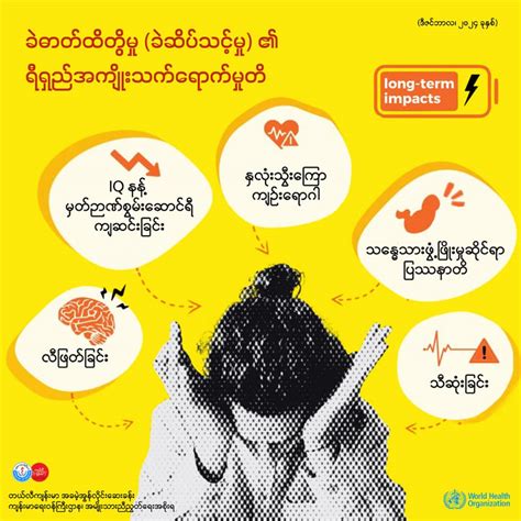 ခဲဓာတ်ထိတွေ့မှု ခဲဆိပ်သင့်မှု ၏ ရေရှည်အကျိုး သက်ရောက်မှုများ ဒီဇင်ဘာလ၊ ၂၀၂၄ ခုနှစ