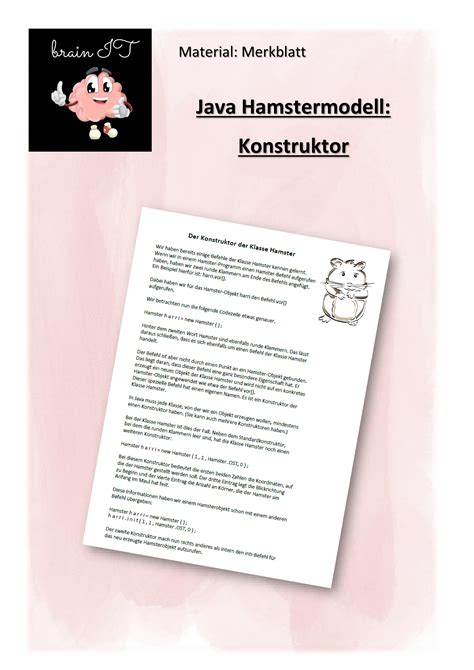 Java Hamstermodell Der Konstruktor Artofit