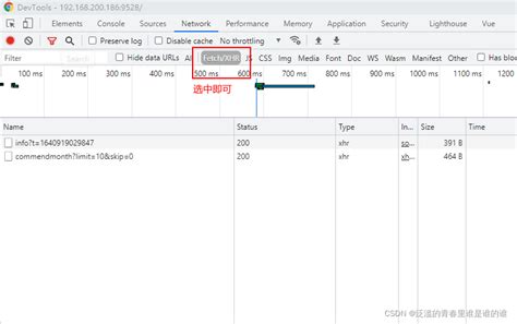 谷歌浏览器f12抓包如何过滤只显示接口请求不显示图片、js那些请求f12过滤请求 Csdn博客