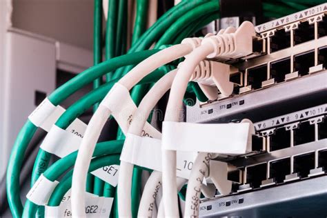 Ethernet Cables Connected To Server Switch Stock Image Image Of Administration Connected