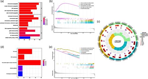 A Go Enrichment Analysis B Gesa Of Go C Circle Diagram Of Go Enrichment Download Scientific