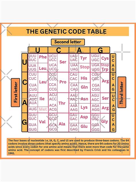 The Genetic Code Table For Genetics Poster For Sale By Sciencestores Redbubble