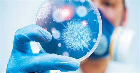 New Bacteria Sensor May Help Prevent Food Borne Diseases