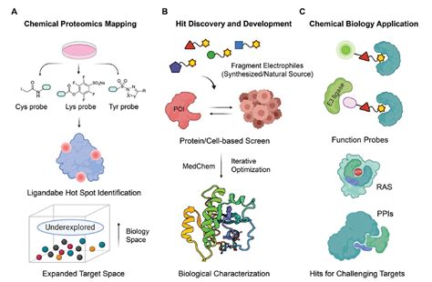 Chemistry Insights How To Enhance Success Rate In The Discovery Of Targeted Covalent