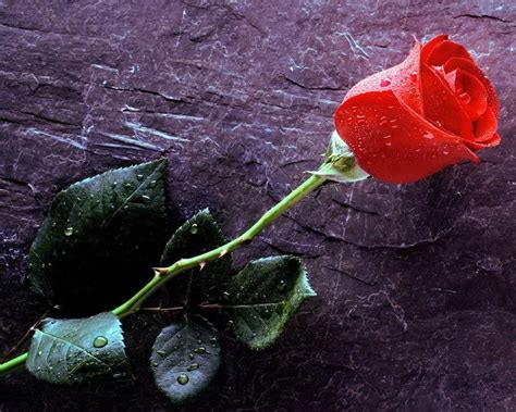 Assessing Unconditional Love