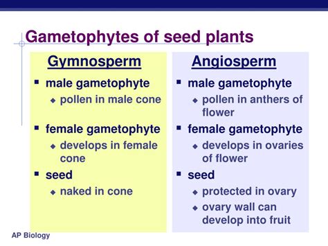 Ppt Chapter 38 Powerpoint Presentation Free Download Id 3224477