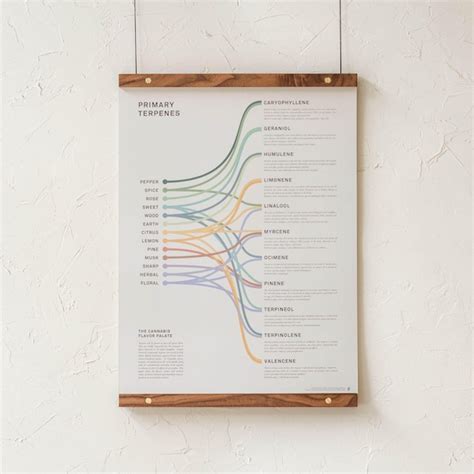 Terpene And Cannabinoid Chart Etsy