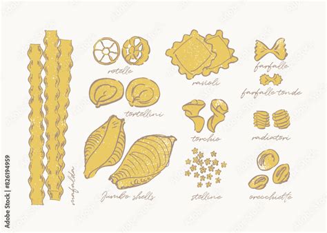 Sketchy Drawing Of Different Pasta Types Hand Drawn Pasta Guide Stock