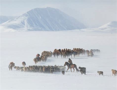 Отроор яваа жирэмсэн эхэд хэрхэн анхаарал халамж тавих вэ Delhii Mn