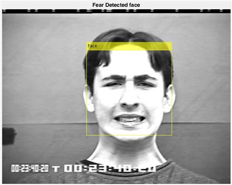 Emotion Detection Through Facial Feature Analysis
