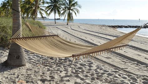 Caribbean Beach Hammock