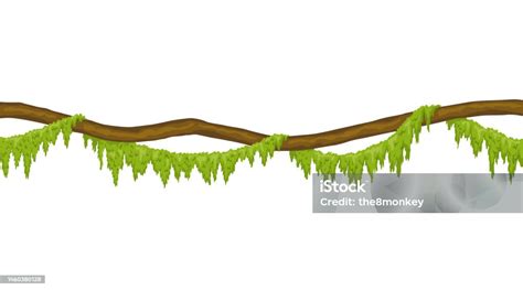 리아나스 줄기 경계 열대 우림 녹색 포도 나무 또는 가지에 매달려있는 꼬인 식물 만화 정글 크리퍼 나무에 나뭇잎 또는 이끼 벡터 고립 된 게임 풍경 요소 열대 자연 식물