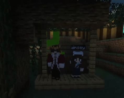 Unplanned Dsmp Lore Last Night With Aimsey Reret