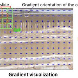 General Procedure Of The HOG Algorithm Download Scientific Diagram