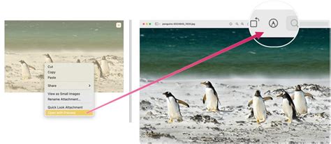 here s how to use the mac markup feature
