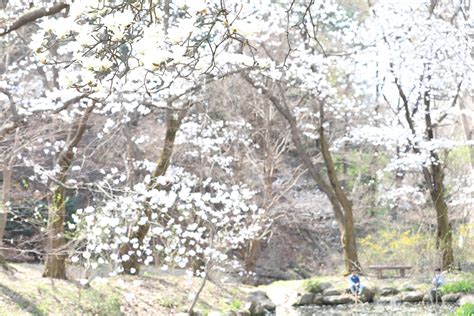 진욱 아주작은사진전시회 꿈속같은세상 그 두 번째 방생 작품 내마음에너를담아 개정판 출판기념 포레스트 검프가 영문도 없이 미 대륙을 횡단하는 달리기를 밤낮없이