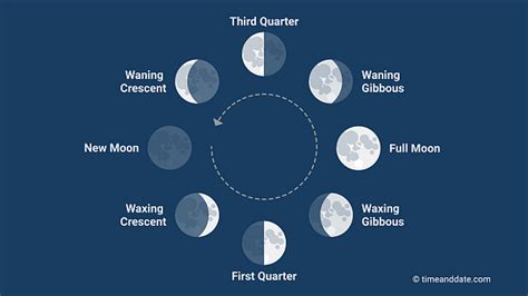 Types Of Moon Phases In Blox Fruits