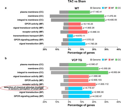 Go Functions Of Degs In Response To 2w Tac Were Different Between Vcp