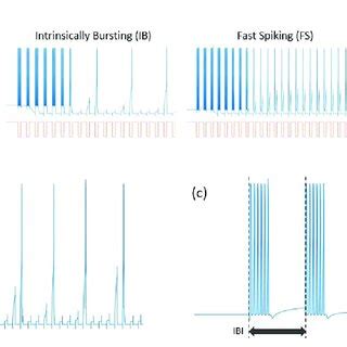 A Observed Spike Patterns Of Our Analog Neuron Circuit Simulated In