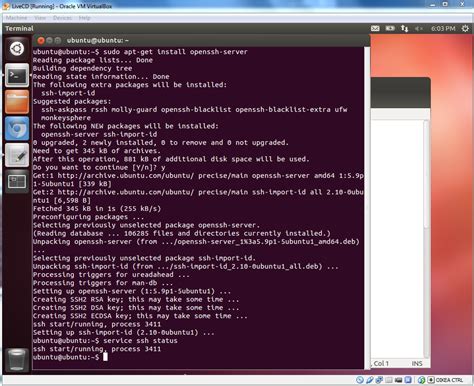 Start Mongodb Server On Ubuntu Speaklasopa