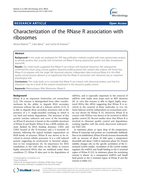 Pdf Characterization Of The Rnase R Association With Ribosomes