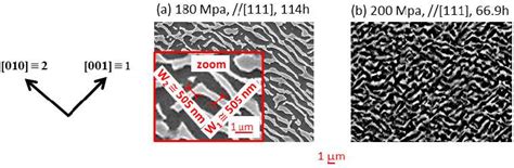 Figure 1 From A Tensorial Thermodynamic Framework To Account For The γ