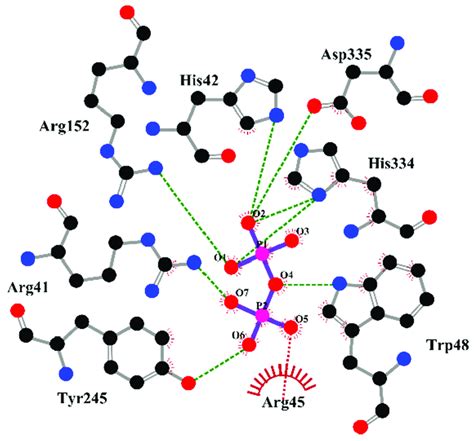 Schematic Representation 2d Of Residues In The Substrate Binding Site Download Scientific