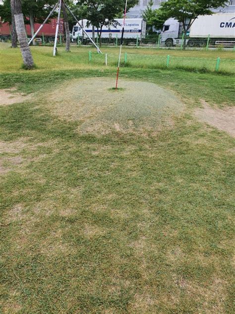 파크 골프 김해 장유 조만강 한림 술뫼 골프장 아침 일찍 가기 홀 구멍 200mm 네이버 블로그