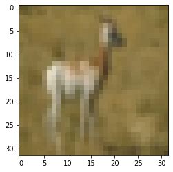 Albumentations With PyTorch For Image Data Augmentation Snippets