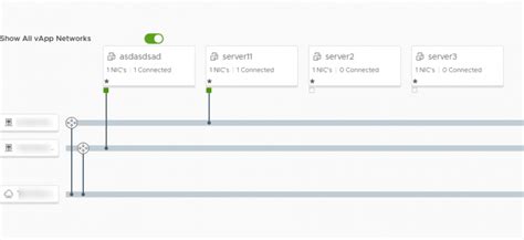 Error While Editing A VMware Cloud Director VAPP With Networks VCloud Vision