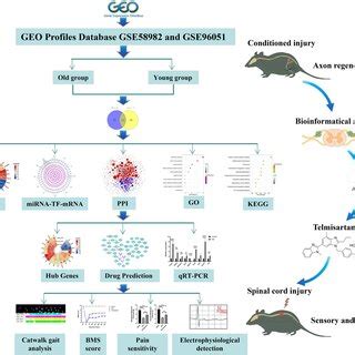 The Process Flow Diagram Of This Study Download Scientific Diagram