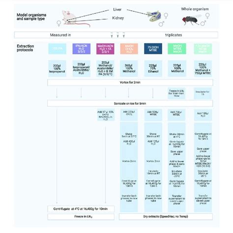 Variability Of Extraction Procedures Across All Sample Types And Model Download Scientific